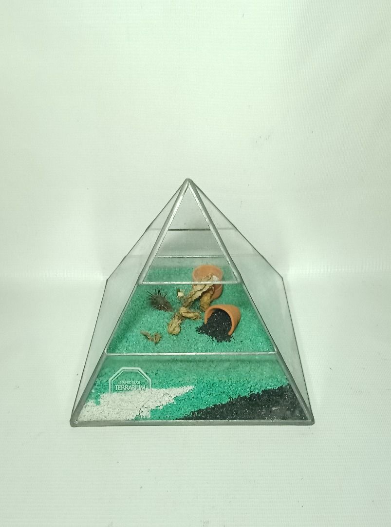 Pyramid Glass Terrarium, Furniture & Home Living, Gardening, Pots ...