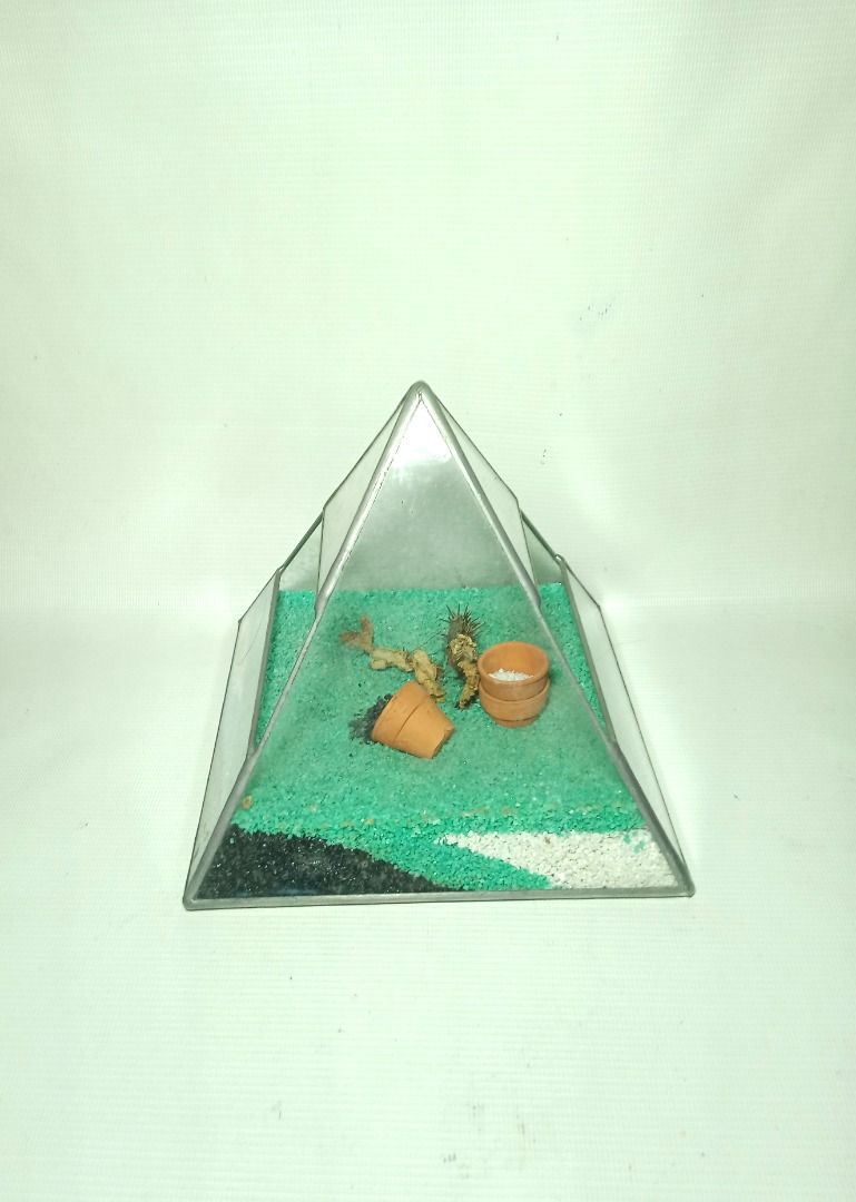 Pyramid Glass Terrarium, Furniture & Home Living, Gardening, Pots ...