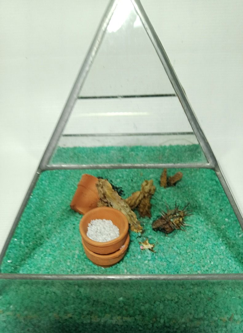 Pyramid Glass Terrarium, Furniture & Home Living, Gardening, Pots ...
