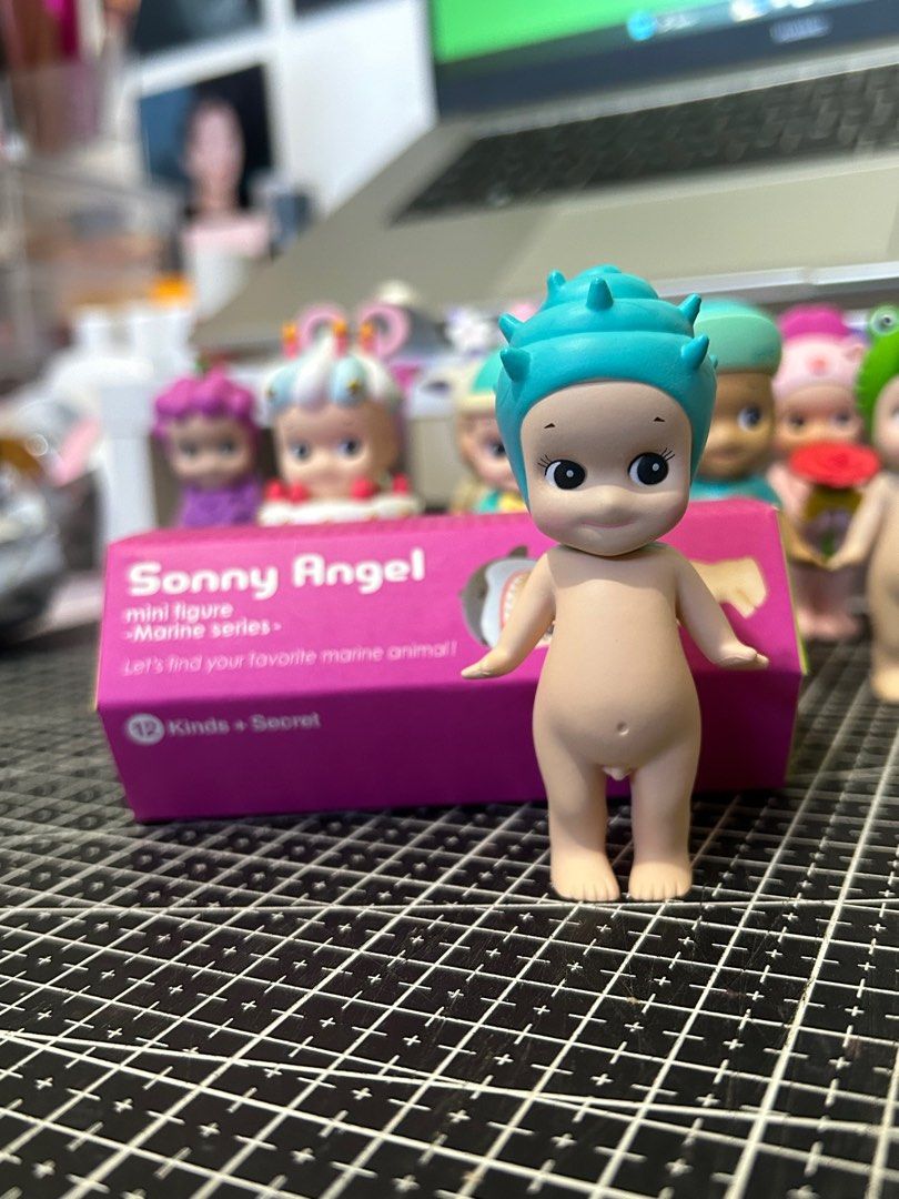 Sonny Angel Marine Series Shell wts lfb, Hobbies & Toys, Toys & Games on Carousell