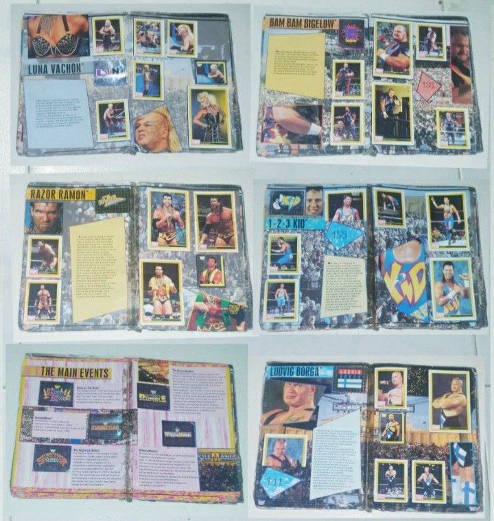 vintage merlin wwf stickers album book, Hobbies & Toys, Toys & Games on ...