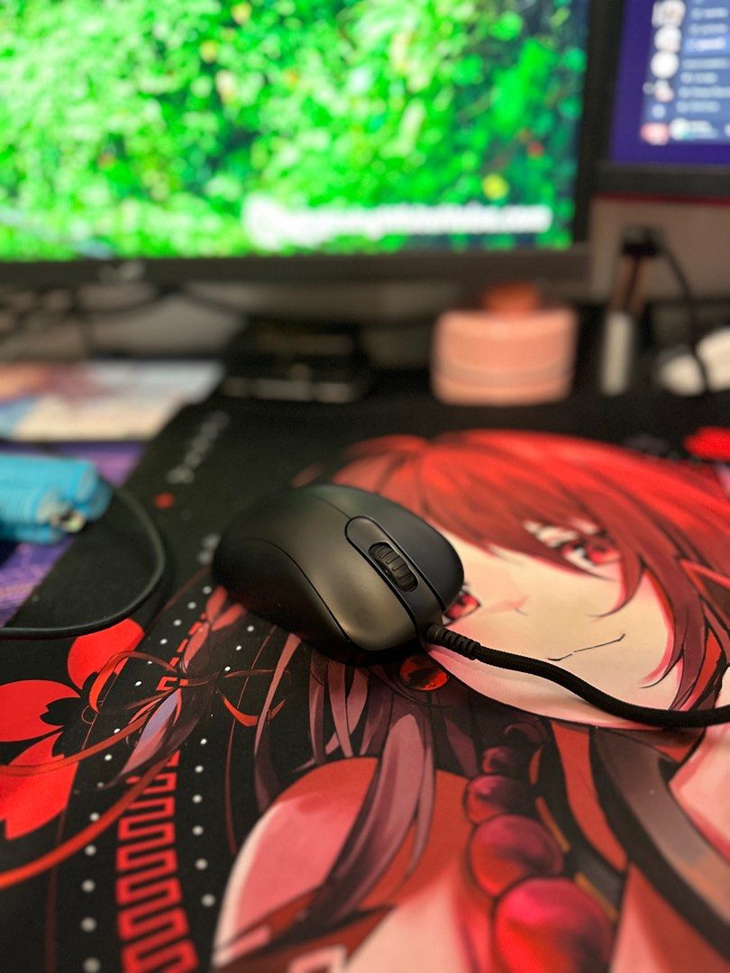 Zowie EC3C EC3-C Ergonomic Wired Mouse, 電腦＆科技, 電腦周邊及配件, 電腦滑鼠及相關產品 ...