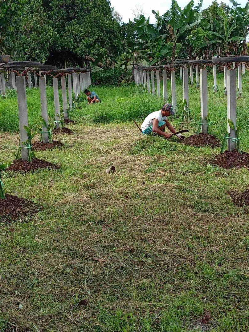 4,500 sqm. Farm Lot with 4-Bedroom House in Alfonso, Cavite, Property ...