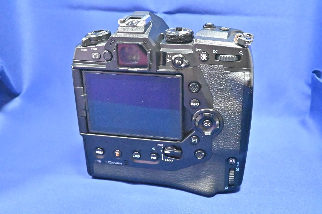 抵玩 Olympus E-M1X 旗艦機 自拍螢幕 易上手 輕巧高速機 2倍等效焦距 EM1X E-M1 X EM1 X, 攝影器材, 相機 ...