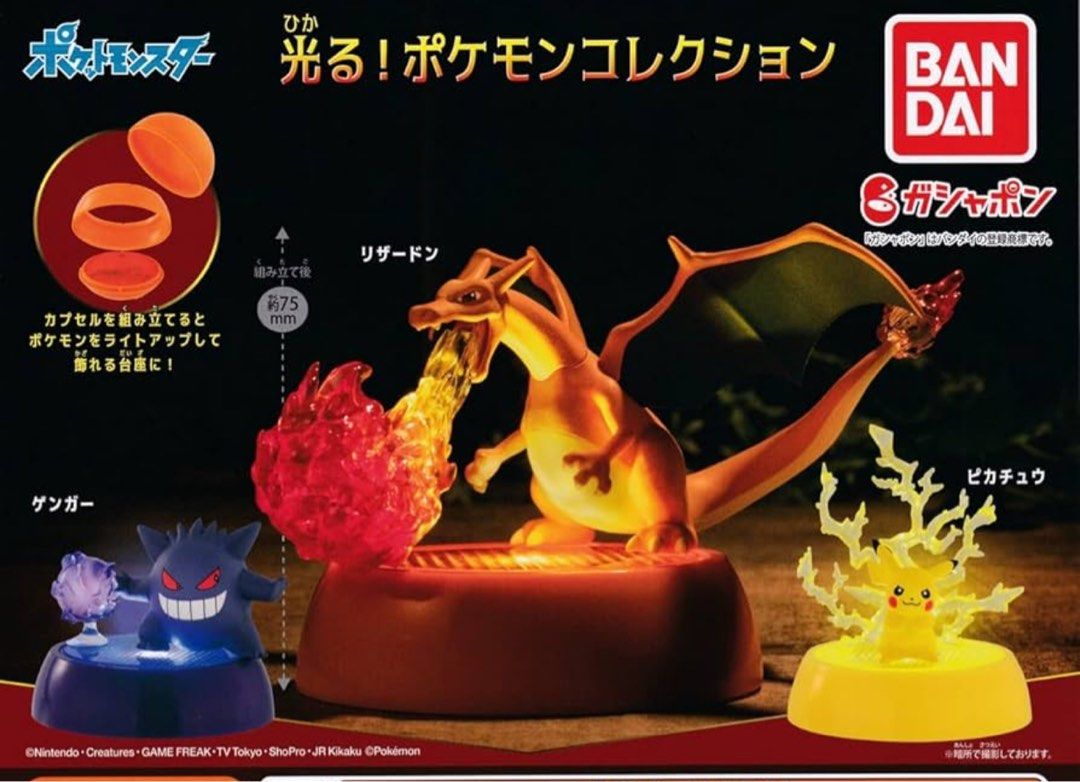Bandai Light up Charizard, Hobbies & Toys, Toys & Games on Carousell