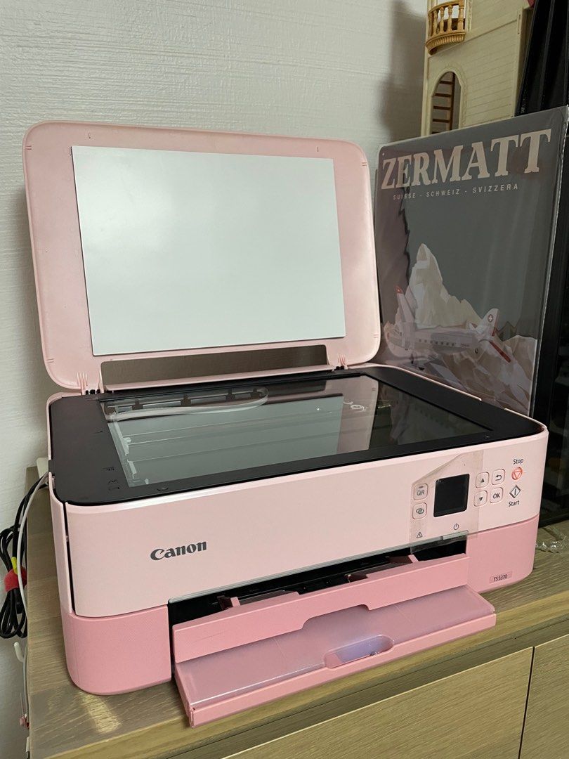 Canon Pixma TS5300 Printer in Pink, Computers & Tech, Printers ...