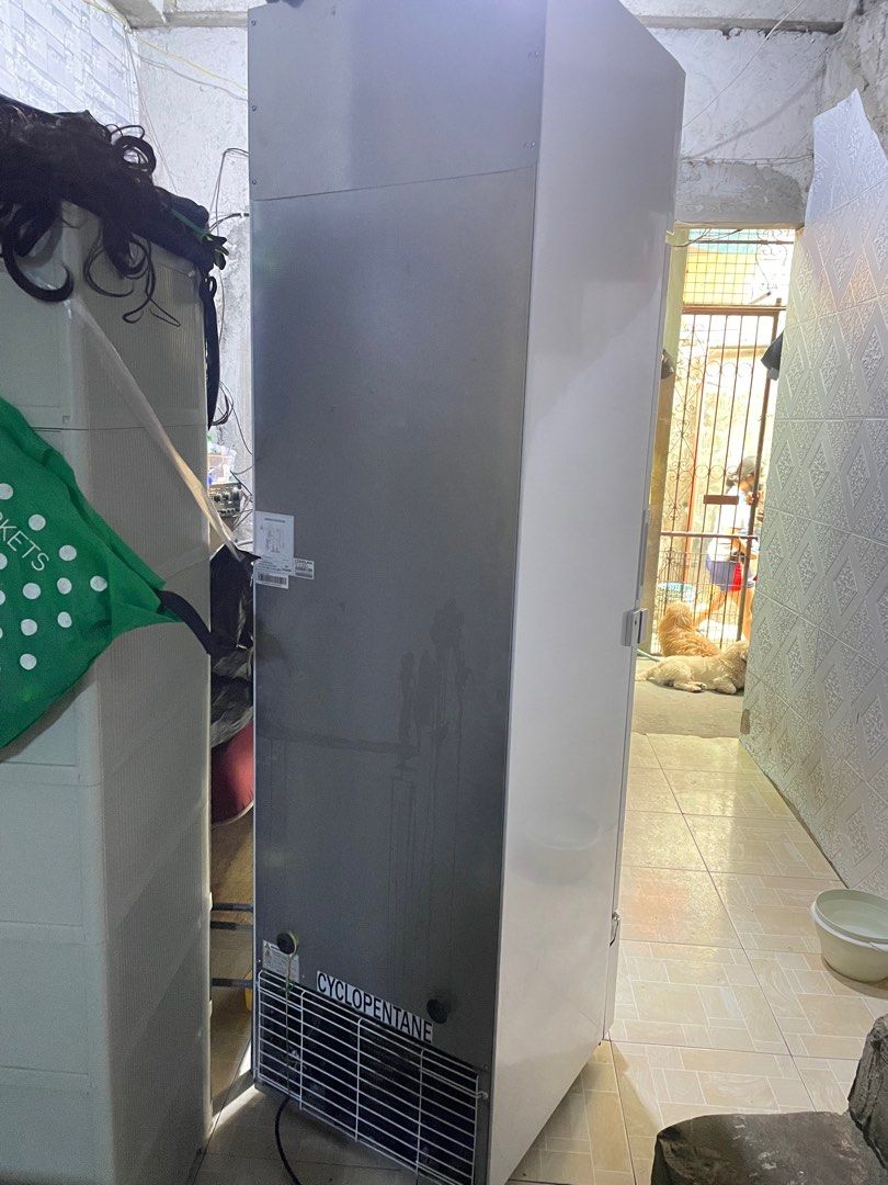 Condura CBC283RI 10.0cuft No Frost, Inverter, Showcase Chiller, TV ...