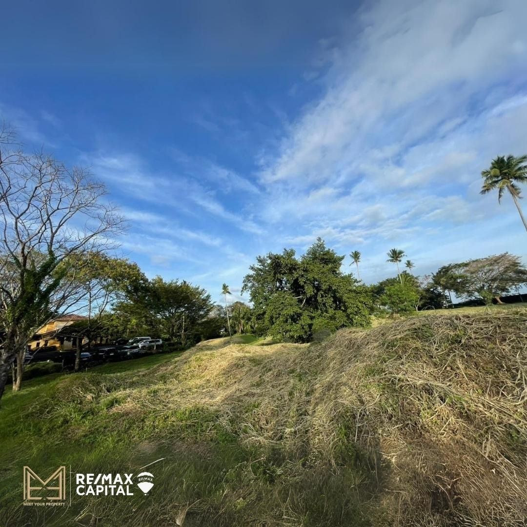 FOR SALE: 1055 sqm Residential Lot in Montecito Nuvali, Laguna ...