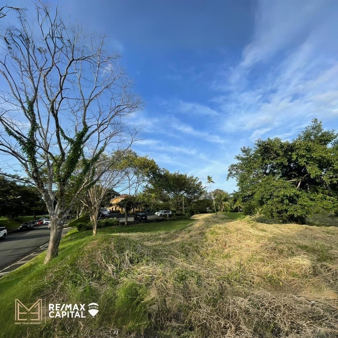 FOR SALE: 1055 sqm Residential Lot in Montecito Nuvali, Laguna ...