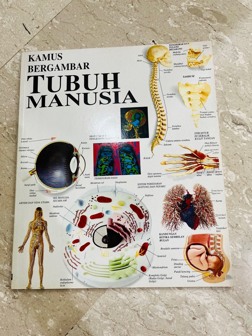 Human Body Pictorial Book in Malay Language/ Kamus Bergambar Tubuh ...