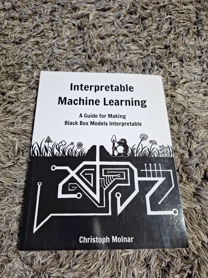 Interpretable Machine Learning, Hobbies & Toys, Books & Magazines ...