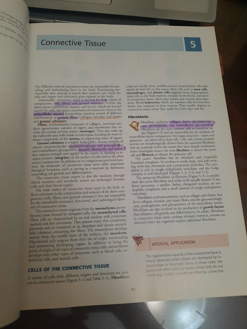 Junqueira Basic Histology Text & Atlas 11th Edition, Hobbies & Toys ...