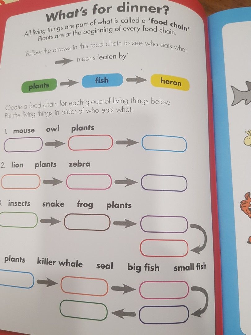 KS2 Science practice book, Hobbies & Toys, Books & Magazines, Textbooks ...