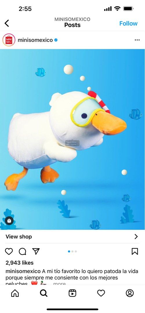 Lying Diving Duck Plush Toy by Miniso, Hobbies & Toys, Toys & Games on ...