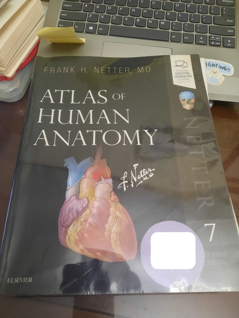 Netter Atlas of Human Anatomy 7th Edition, Hobbies & Toys, Books ...