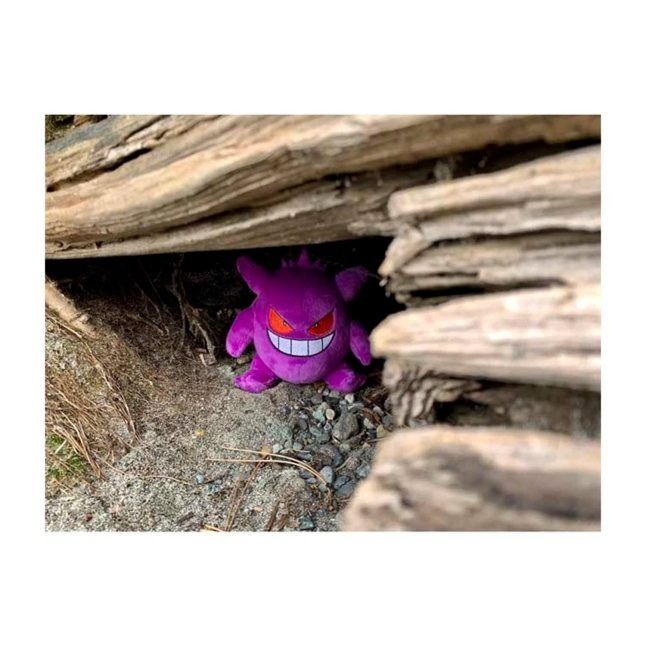 POKEMON CENTER Gengar Sitting Cuties Plush - 5 In. (Japan), Hobbies ...