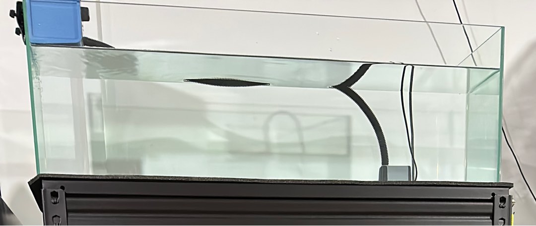 3ft Aquarium fish tank set, Pet Supplies, Homes & Other Pet Accessories ...