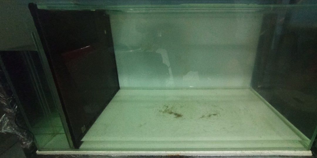 3ft iOS fish tank, Pet Supplies, Homes & Other Pet Accessories on Carousell