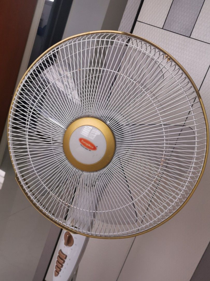 Europace Standing Fan, Furniture & Home Living, Lighting & Fans, Fans ...