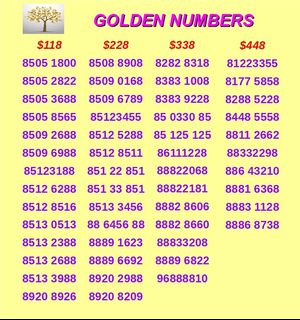 Premium Golden Numbers For Mobile Phones Lucky Auspicious Numbers ...