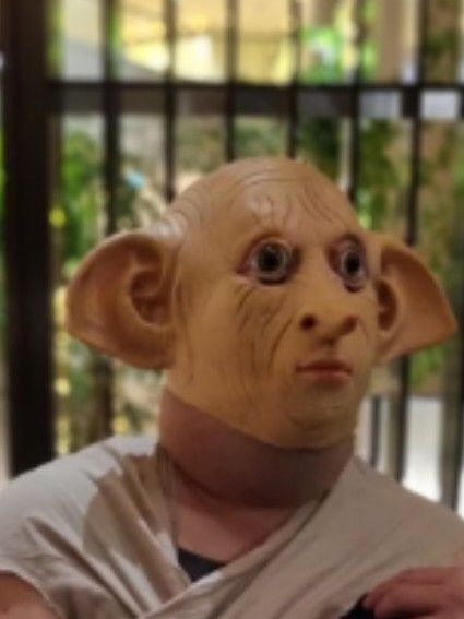 Harry Potter Dobby mask, Hobbies & Toys, Toys & Games on Carousell
