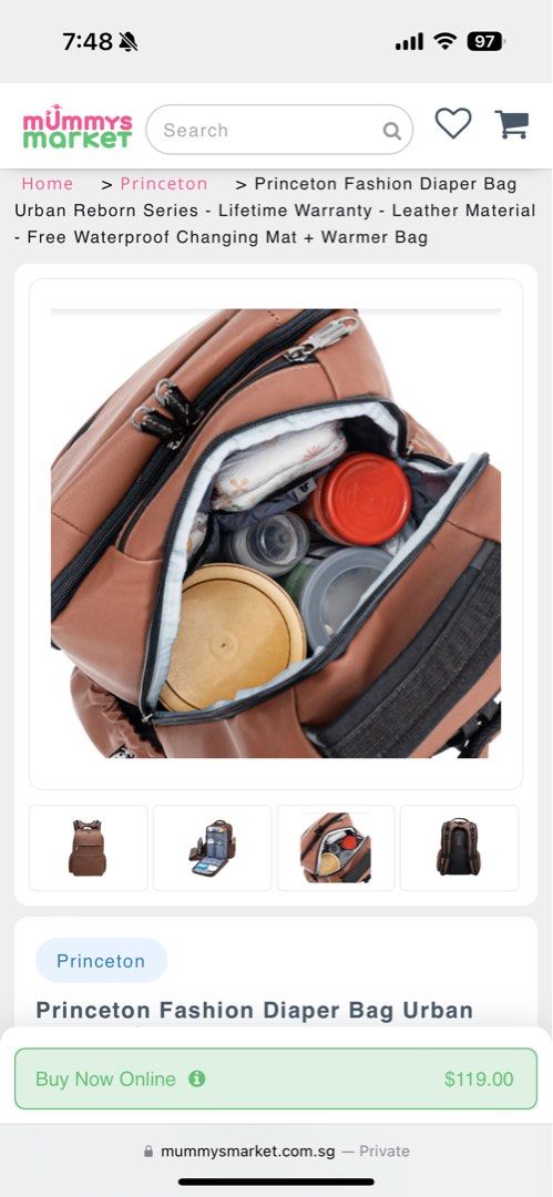 Princeton Fashion Diaper Bag Urban Reborn Series, Babies & Kids, Going ...