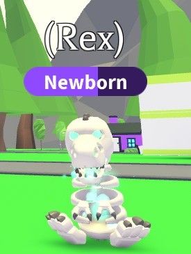 Roblox Adopt Me Skeleton T Rex Ride, Video Gaming, Video Games, Others ...