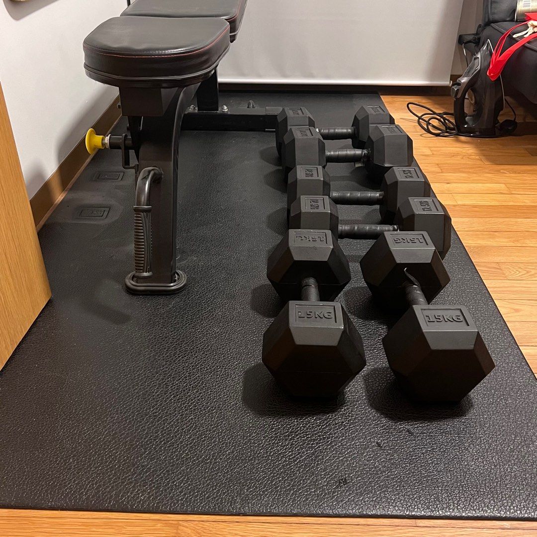 12.5kg 15kg 17kg dumbbell gym mat bench, Sports Equipment, Exercise ...