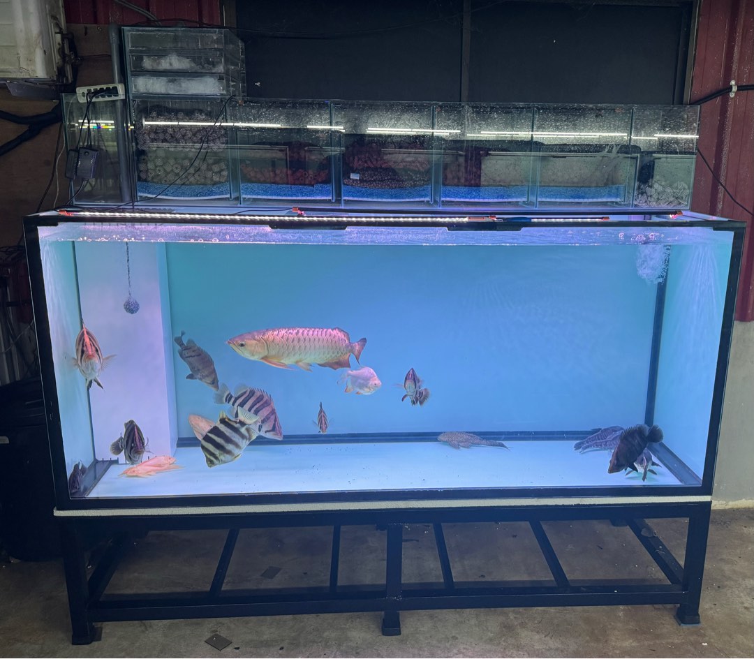 7ft by 2.5ft by 3ft fish tank with low profile stand and monster top ...