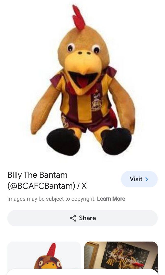 BILLY BANTAM CHICKEN MASCOT PLUSH TOY, Hobbies & Toys, Toys & Games on ...