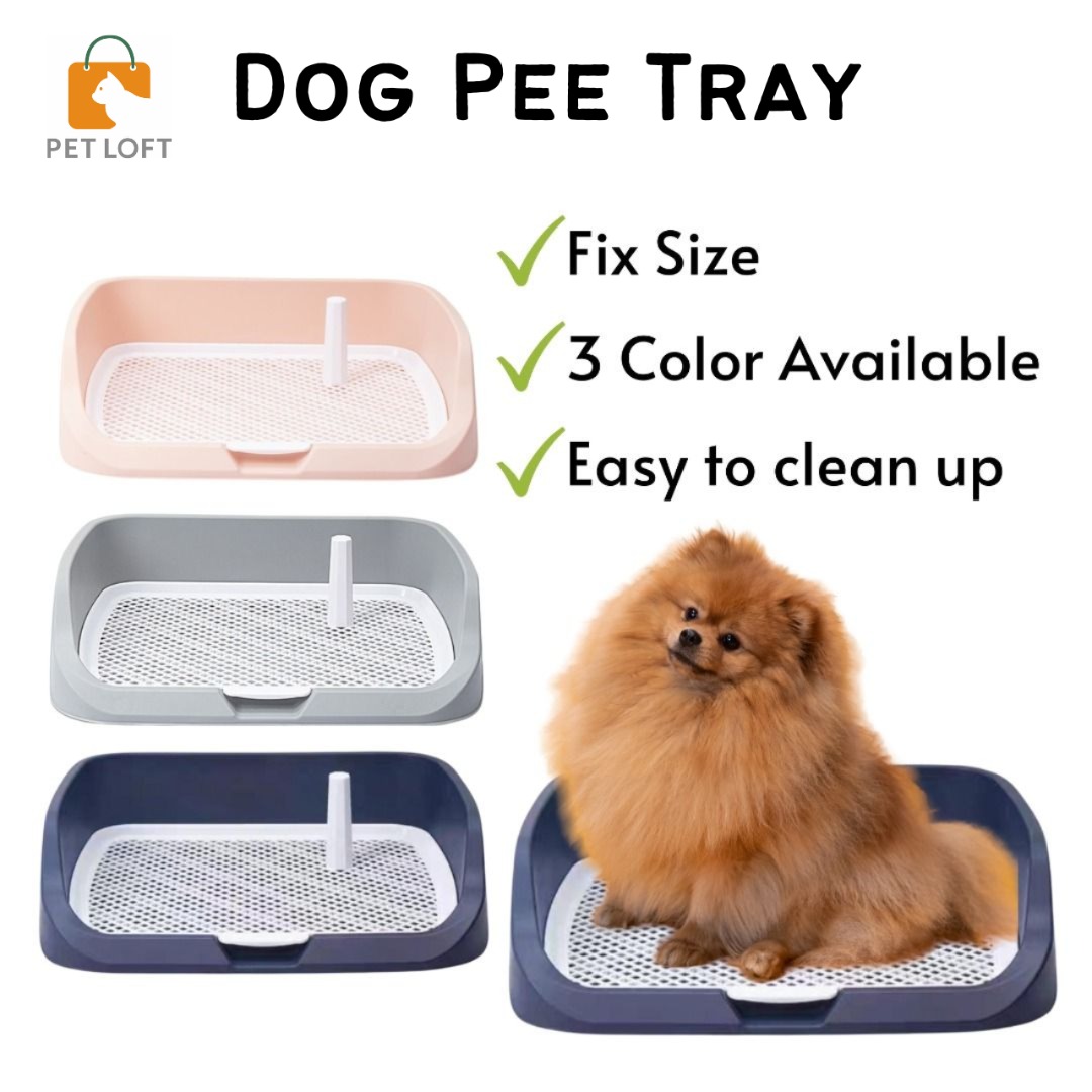Dog Pee Tray Dog Toilet Pee Tray Double Layer Large And Small High ...