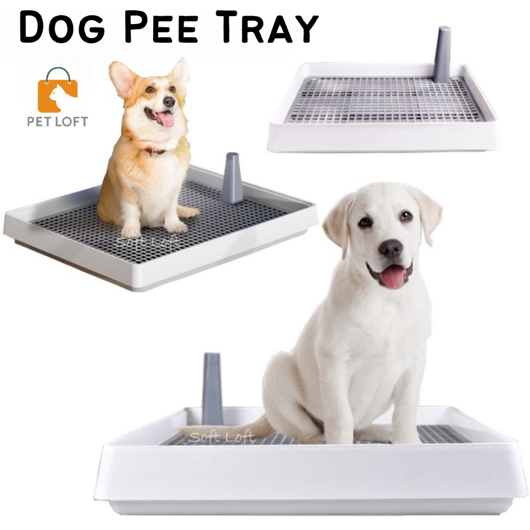 Dog Pee Tray Pet Toilet Plastic Dog Training Pads Tray Toilet Mat Puppy ...