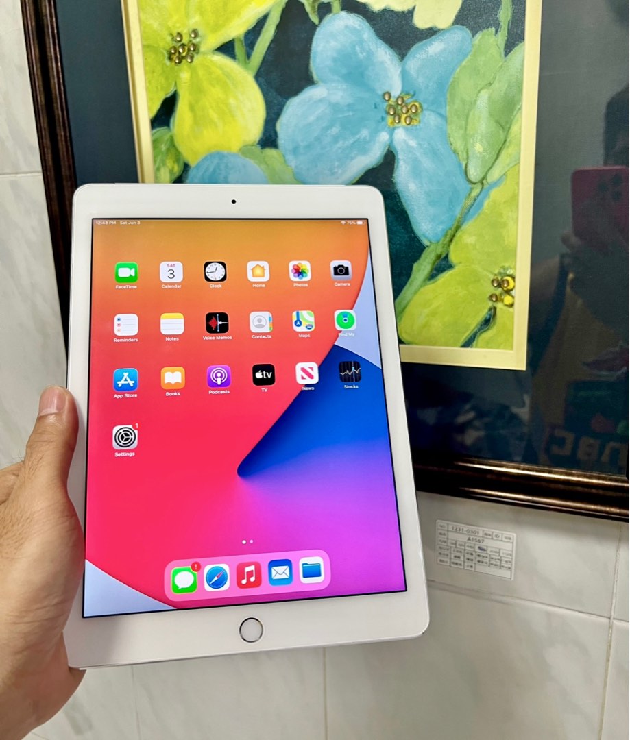 iPad Air Gen.2 128Gb cellular/sim, Mobile Phones & Gadgets, Tablets ...