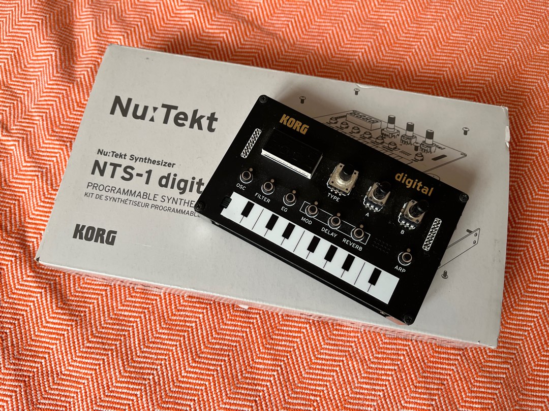 Korg Nu:Tekt NTS-1 Synthesizer (free delivery), Hobbies & Toys, Music ...