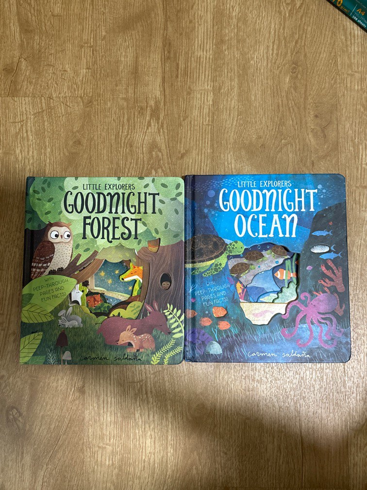 Little Explorers children storybooks, Hobbies & Toys, Books & Magazines ...