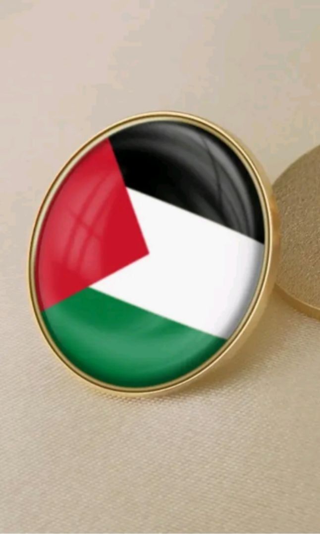 Pin bendera Palestine, Hobbies & Toys, Collectibles & Memorabilia ...