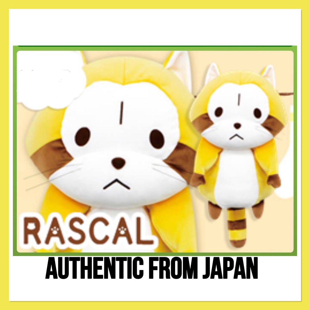 Rascal Raccoon Puchi Mochirikutari BIG stuffed animal Japan plush ...