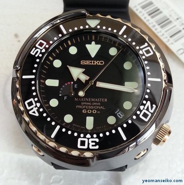 Seiko Prospex Marine Master Spring Drive Professional 600M Diver ...