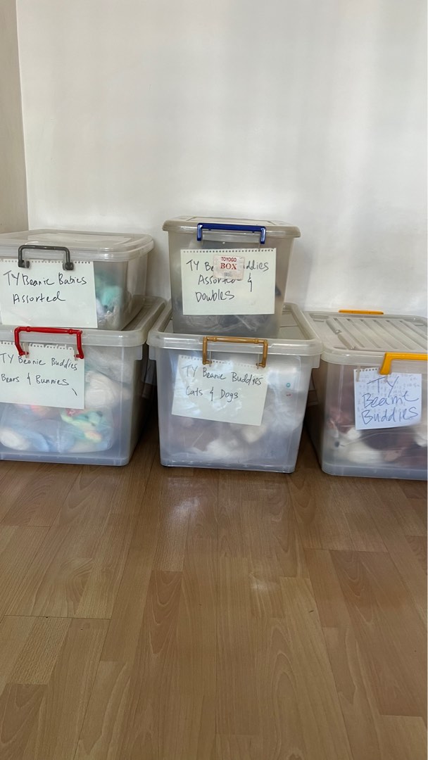 TY Beanie Babies and Buddies by Carton, Hobbies & Toys, Toys & Games on ...