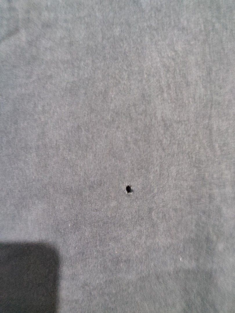 Vintage 1999 Lilith fair shirt Sarah McLachlan indigo girls Sheryl crow ...