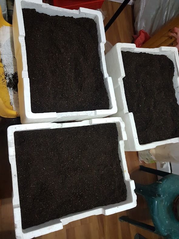 10kg Vermicompost / Vermicast / Worm castings, Furniture & Home Living ...