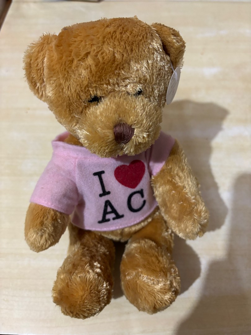 ACS Bear, Hobbies & Toys, Toys & Games on Carousell