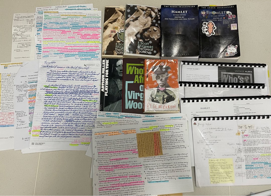 ALEVEL H2 LITERATURE notes bundle, Hobbies & Toys, Books & Magazines ...