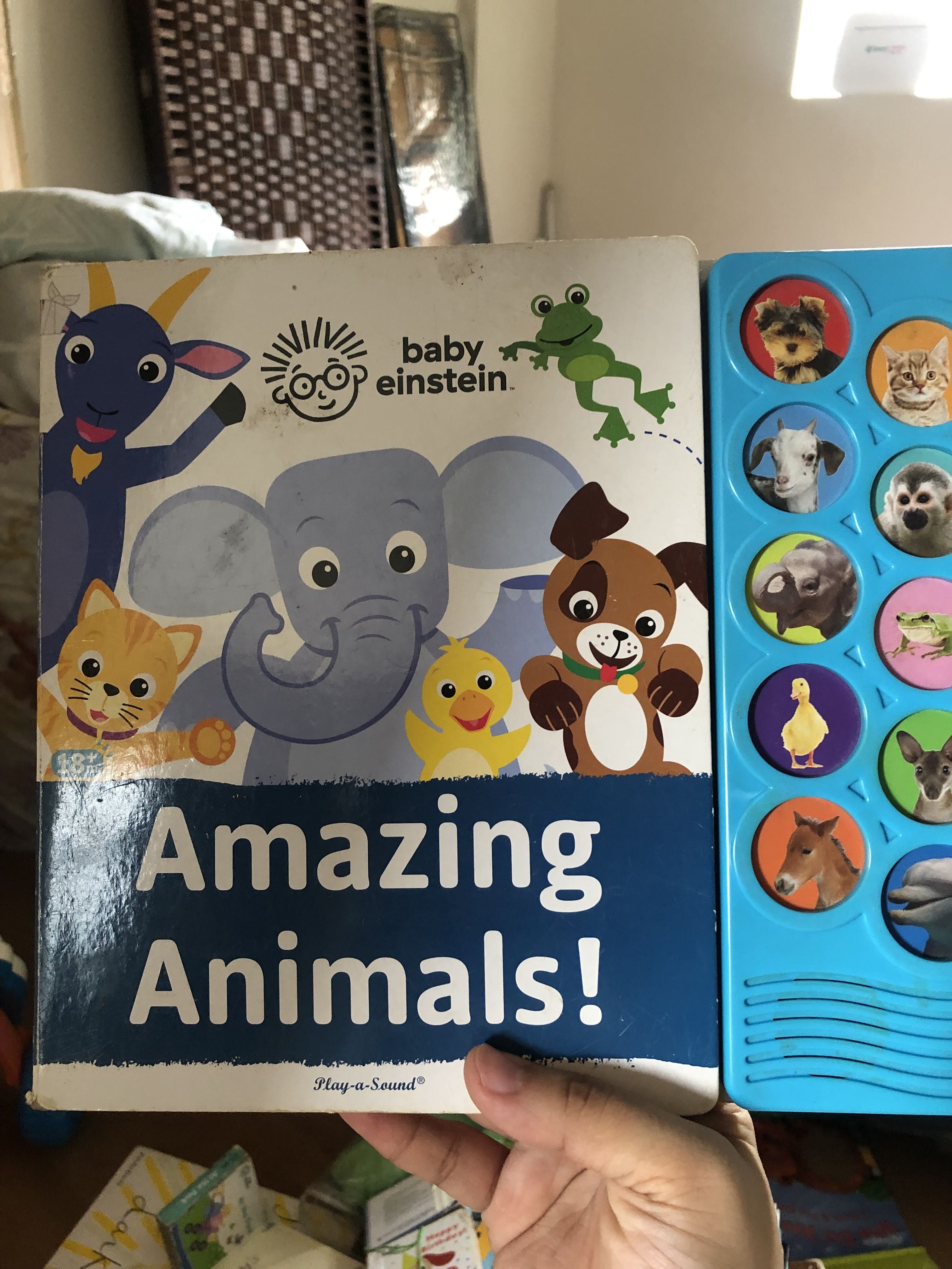 Baby Einstein Amazing Animals sound board book, Hobbies & Toys, Books ...