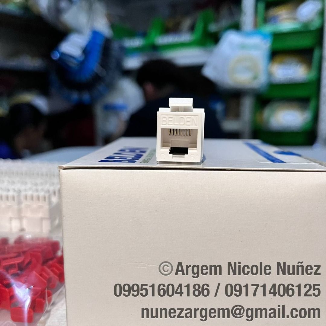 BELDEN Information Outlet Cat6 White, Computers & Tech, Parts ...