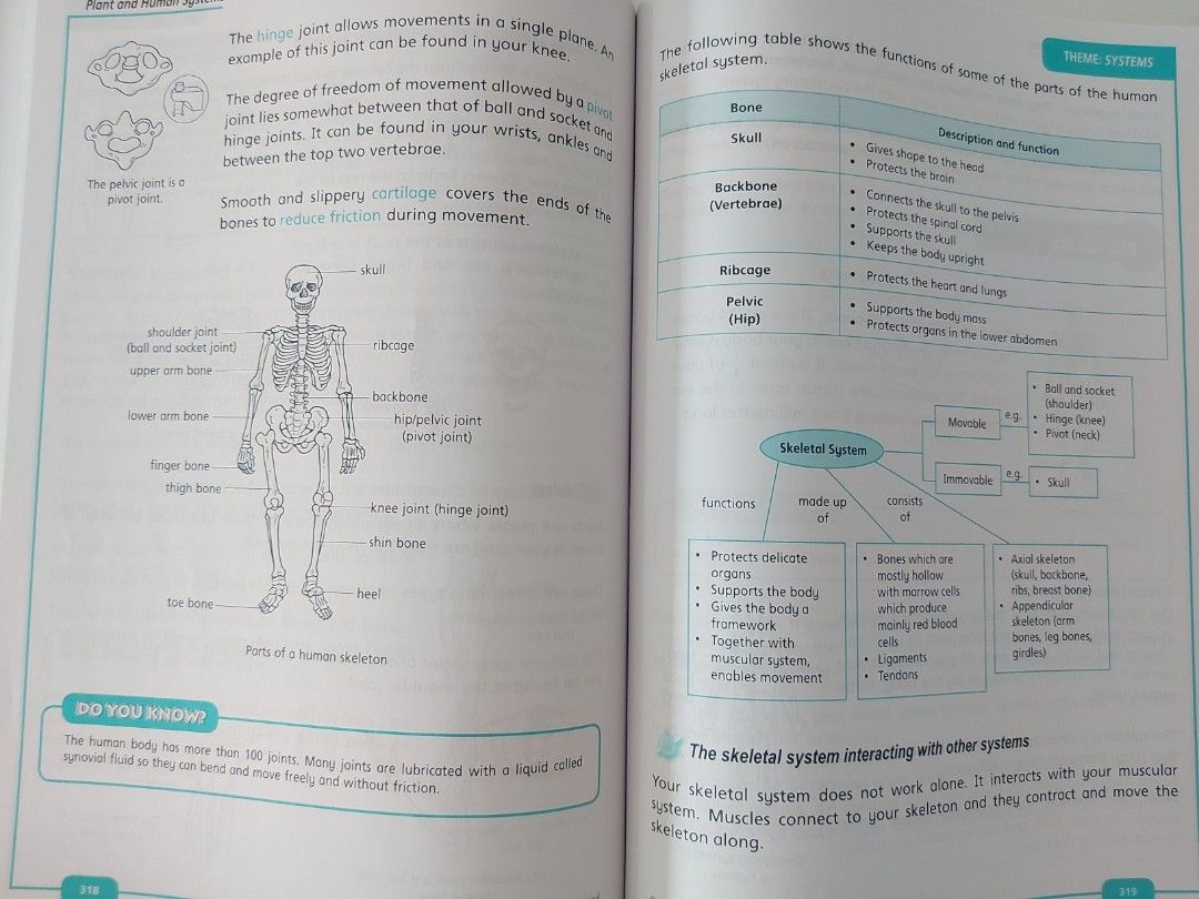 Everything You Need To Know About Science P3 & P4, Hobbies & Toys ...