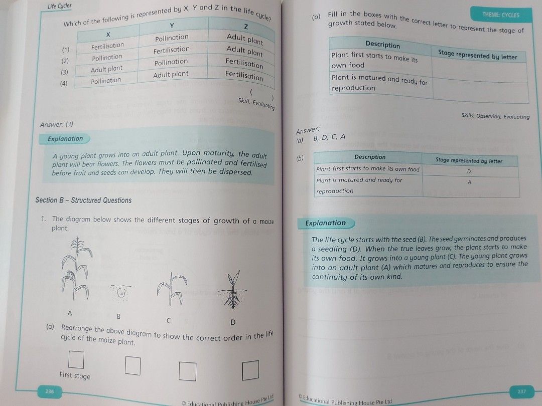 Everything You Need To Know About Science P3 & P4, Hobbies & Toys ...