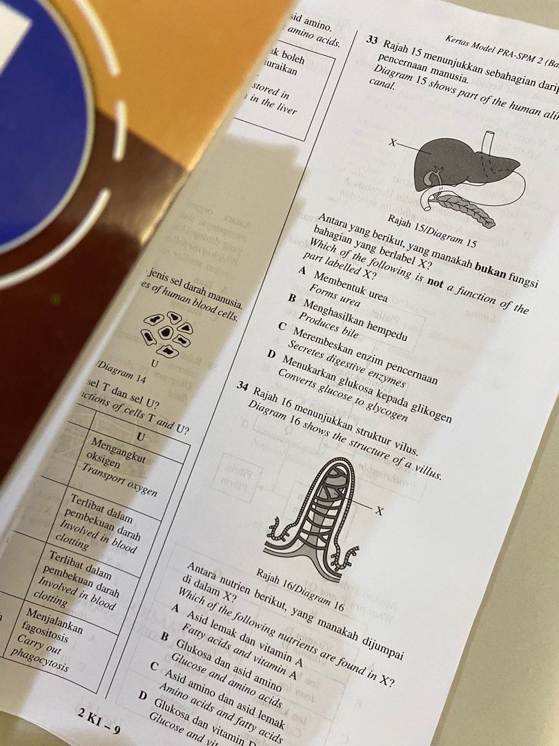 FORM 4 KSSM BIOLOGY REVISION Books with ANSWERS, Hobbies & Toys, Books ...