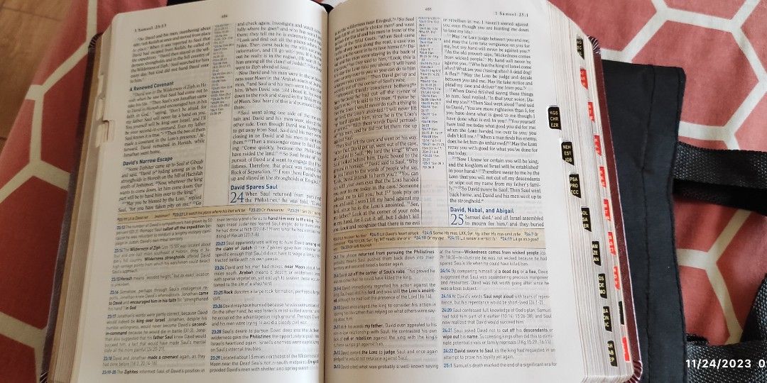 HCSB Study Bible - Personal Size, Hobbies & Toys, Books & Magazines ...