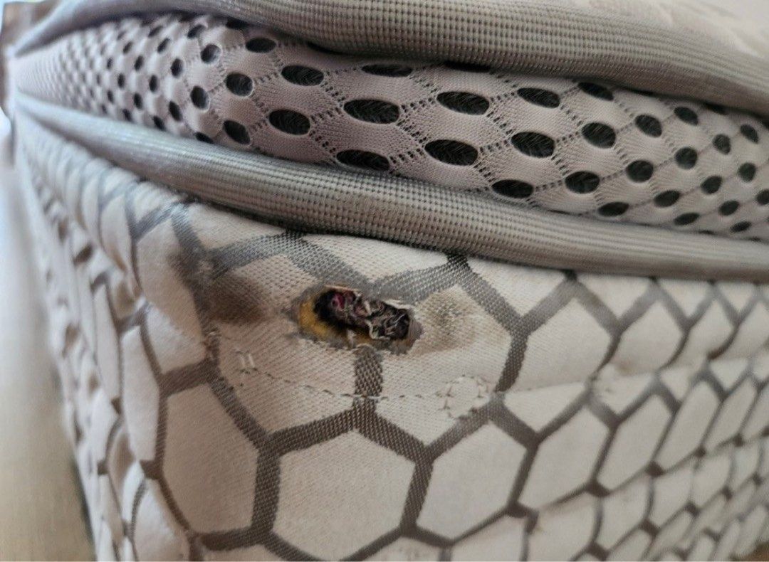 IKEA MALM KING BED (Lonset Slats) and Forty winks mattress included ...